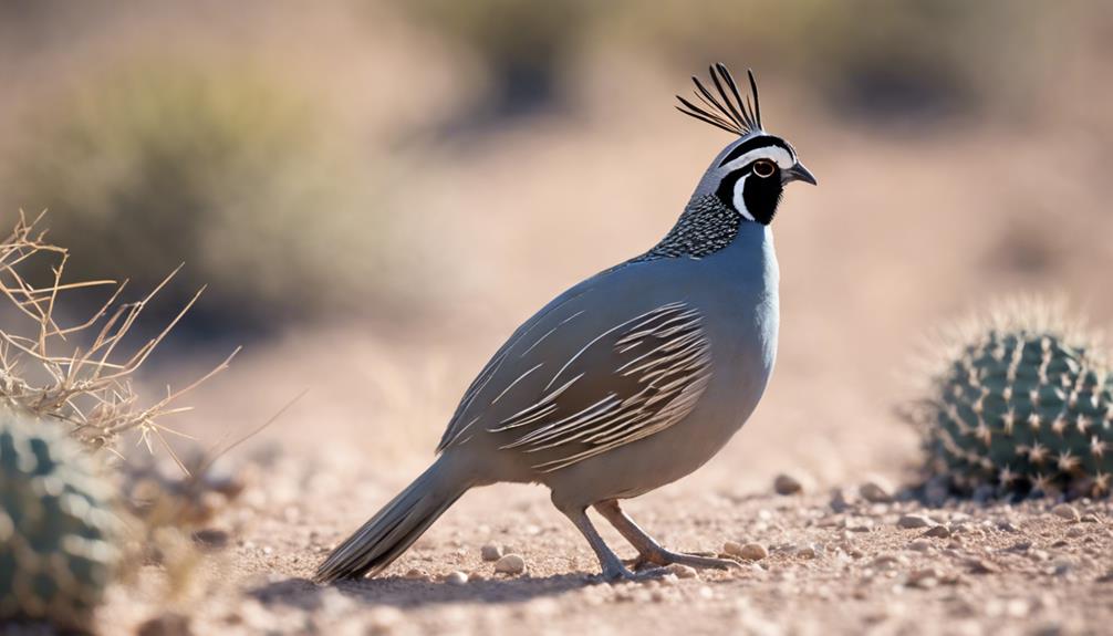 Top 15 Types Of Birds In Arizona (With Pictures) - Fly Aviary