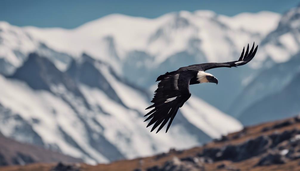 Top 15 Types Of Birds In Spanish (With Pictures) - Fly Aviary