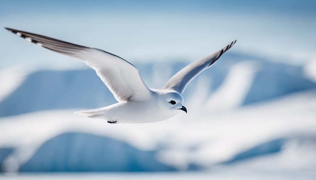 Top 15 Types Of Birds In Antarctica (With Pictures) - Fly Aviary