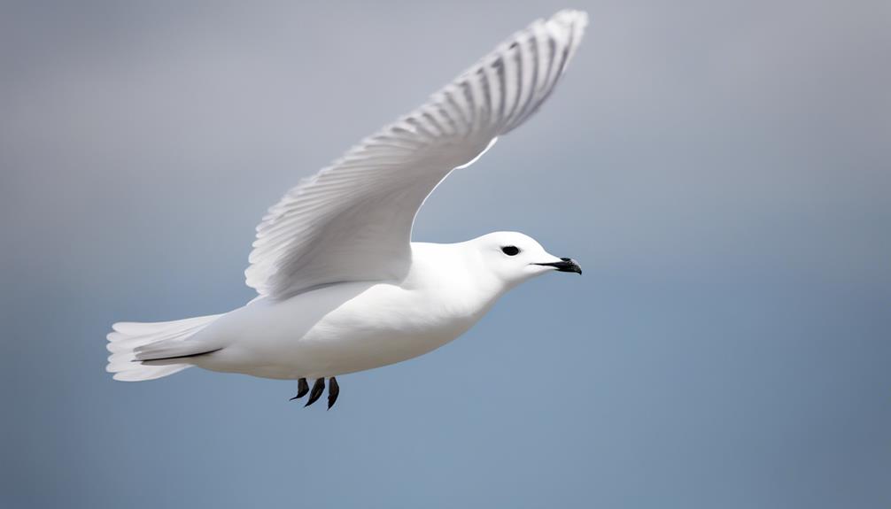Top 15 Types Of Small White Birds (With Pictures) - Fly Aviary