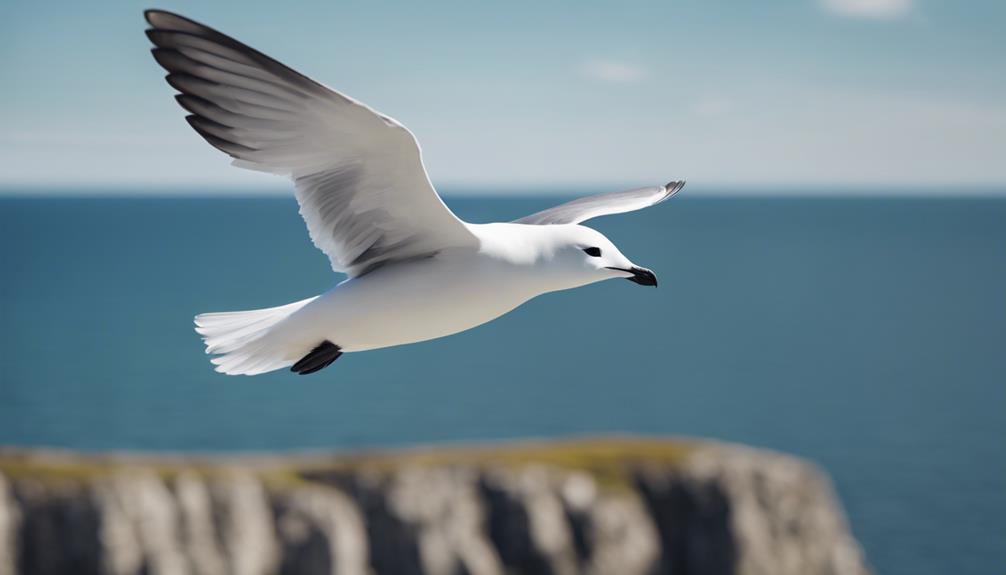 Top 15 Types Of Birds In New Brunswick (With Pictures) - Fly Aviary