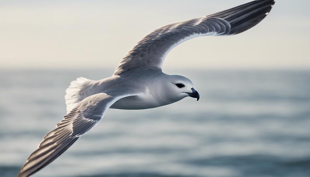 Top 15 Types Of Sea Birds In Delaware (With Pictures) - Fly Aviary