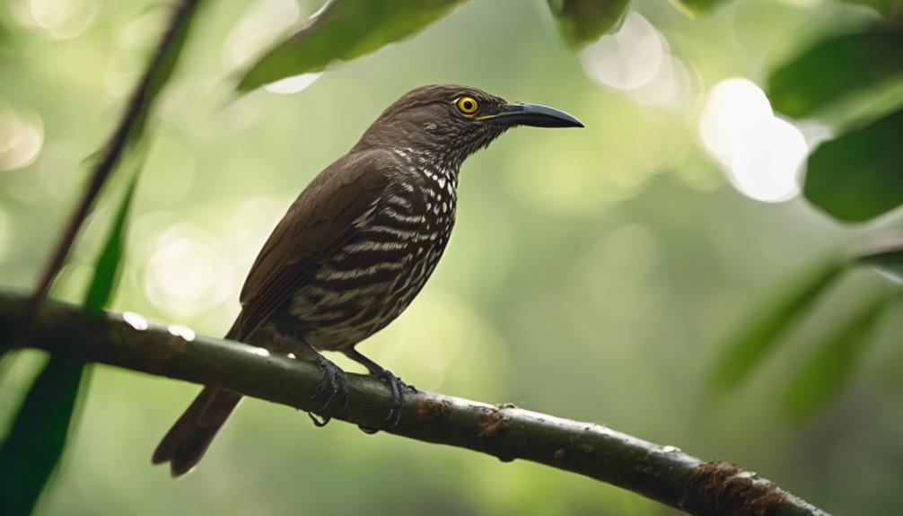 Top 15 Types Of Birds In Puerto Rico (With Pictures) - Fly Aviary