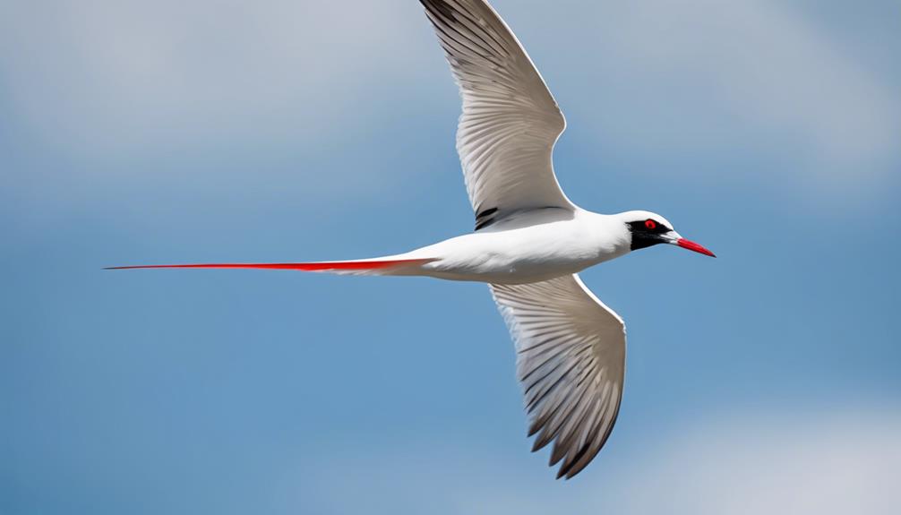 Top 15 Types Of Birds In Trinidad (With Pictures) - Fly Aviary