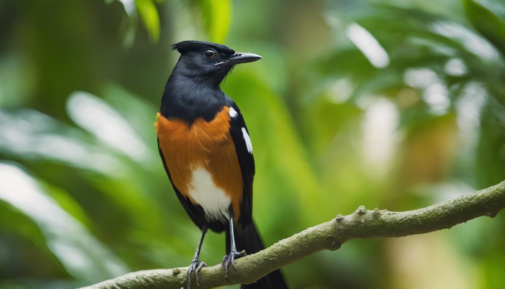 Top 15 Types Of Birds In Oahu (With Pictures) - Fly Aviary