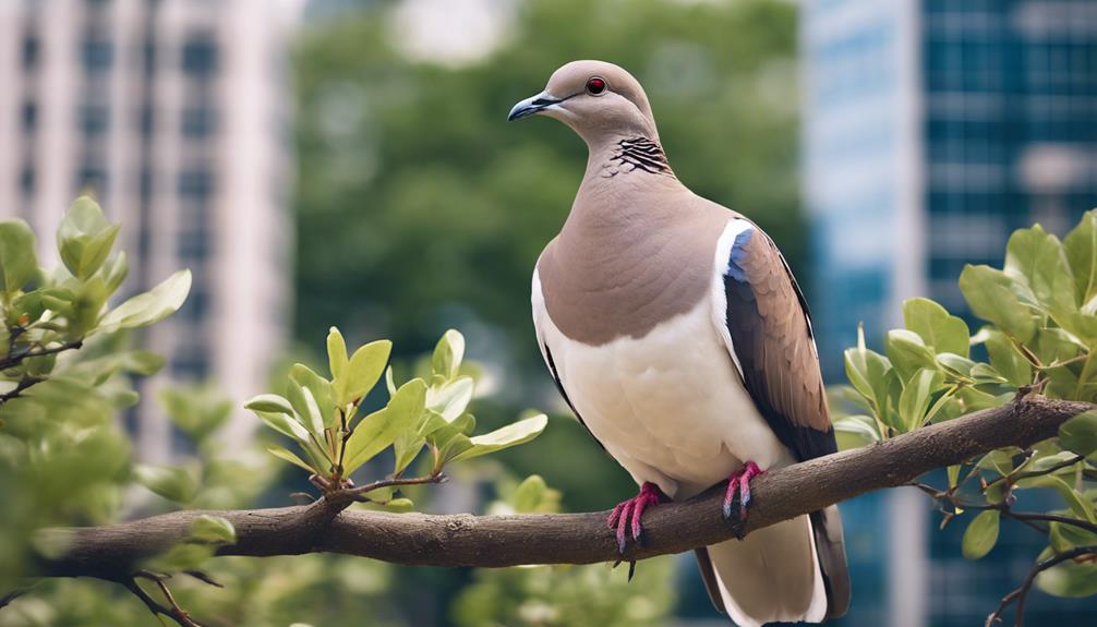 Top 15 Types Of Birds In Houston (With Pictures) - Fly Aviary