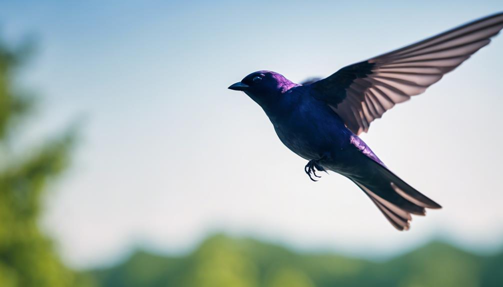 Top 15 Types Of Blue Birds In Michigan (With Pictures) - Fly Aviary