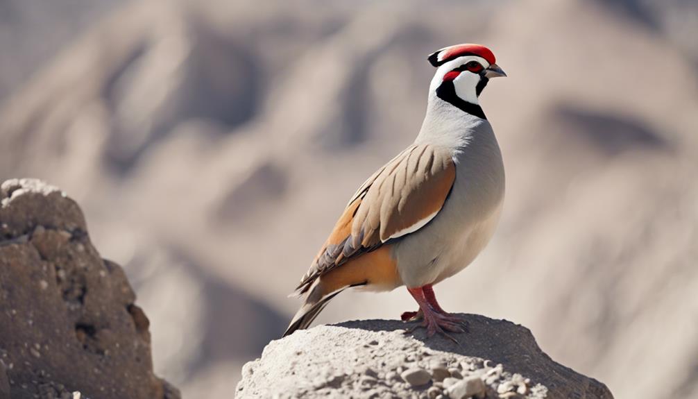 Top 15 Types Of Birds In Ladakh (With Pictures) - Fly Aviary