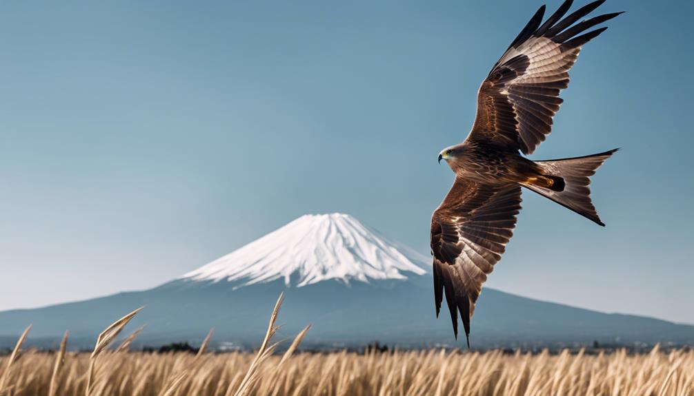 Top 15 Types Of Japanese Birds (With Pictures) - Fly Aviary