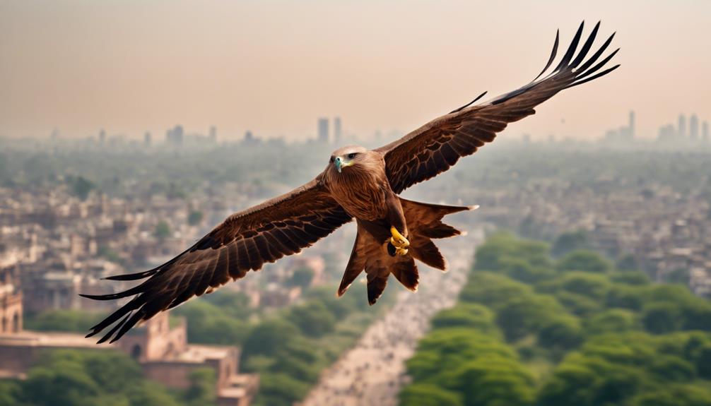 Top 15 Types Of Birds In Delhi (With Pictures) - Fly Aviary