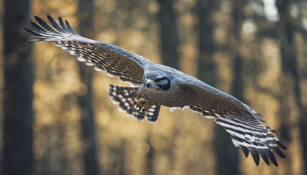 Top 15 Types Of Birds Of Prey (With Pictures) - Fly Aviary