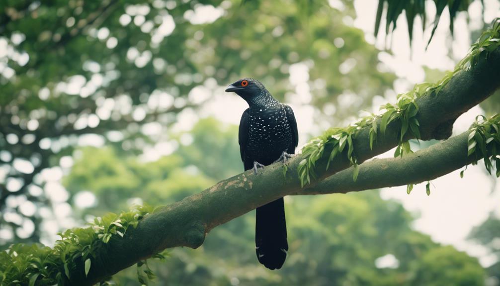 Top 15 Types Of Birds In Singapore (With Pictures) - Fly Aviary
