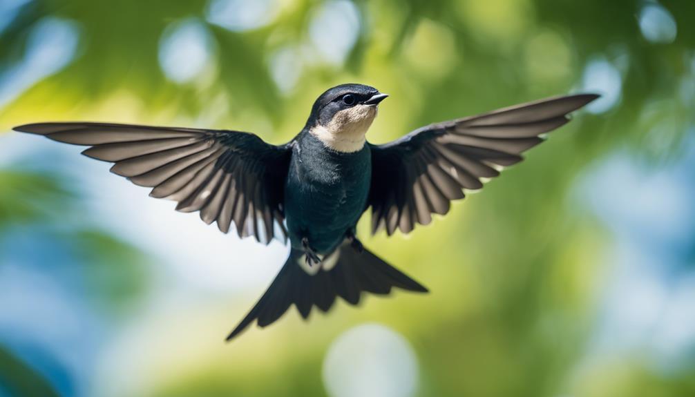 Top 15 Types Of Martin Birds (With Pictures) - Fly Aviary