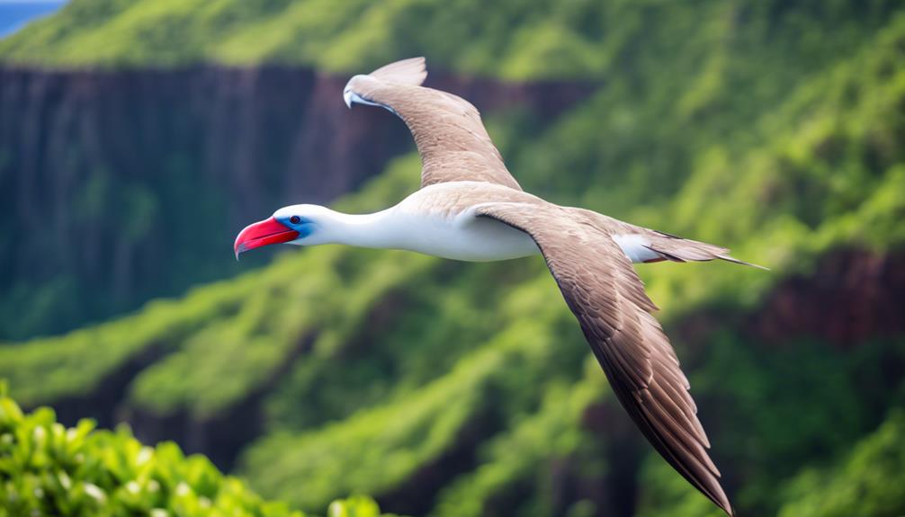 Top 15 Types Of Birds In Kauai (With Pictures) - Fly Aviary
