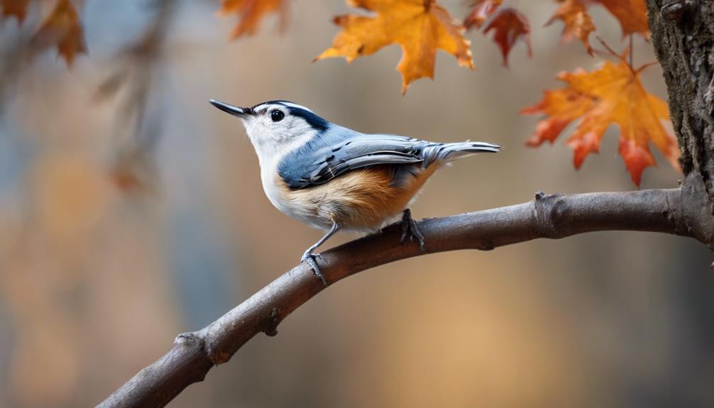 Top 15 Types Of Birds In Northern Illinois (With Pictures) - Fly Aviary