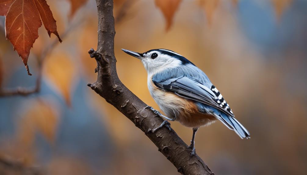 Top 15 Types Of Birds In Iowa (With Pictures) - Fly Aviary