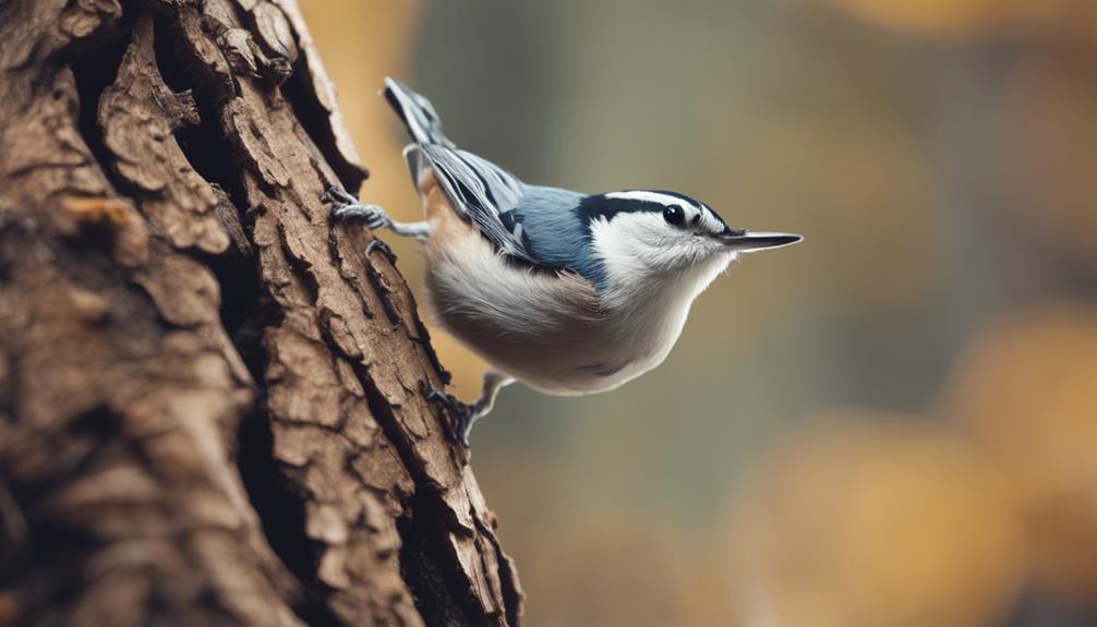 Top 15 Types Of Birds In Nebraska (With Pictures) - Fly Aviary