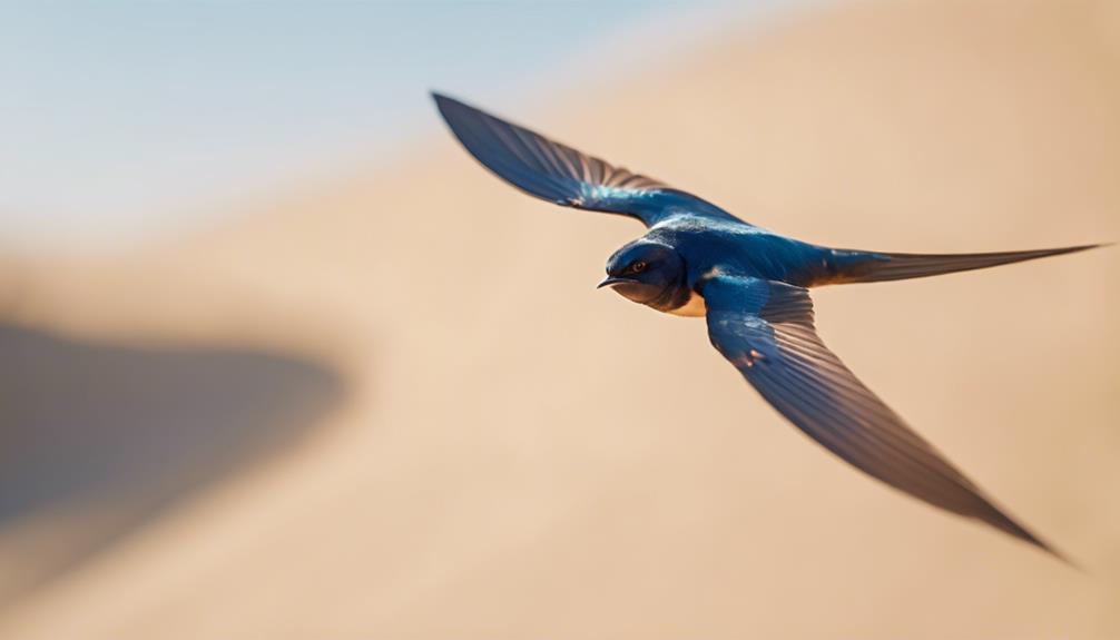 Top 15 Types Of Birds In Uae (With Pictures) - Fly Aviary