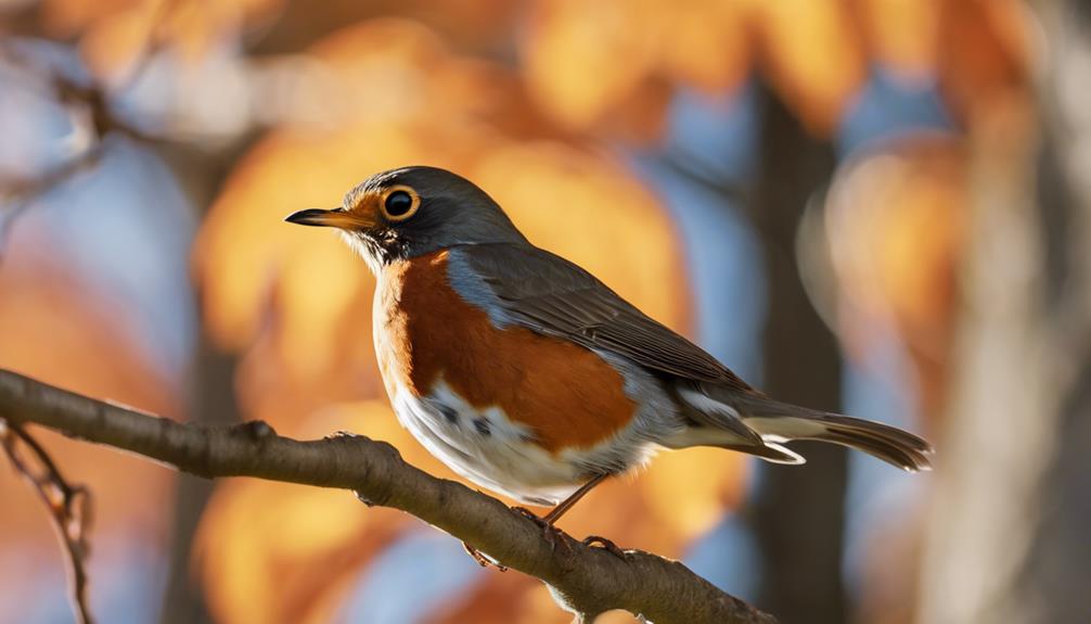Top 15 Types Of Birds In Pennsylvania (With Pictures) - Fly Aviary