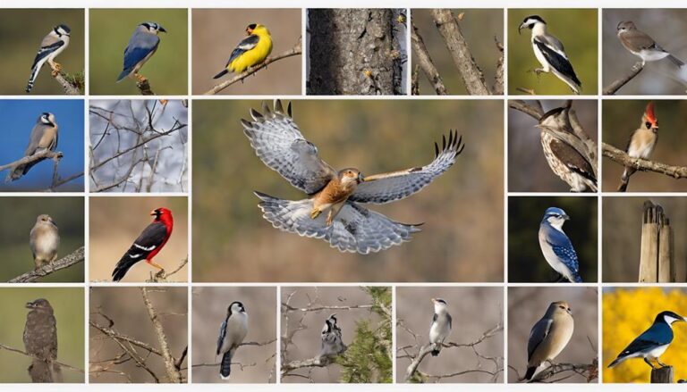 Top 15 Types Of Birds In Connecticut (With Pictures) - Fly Aviary