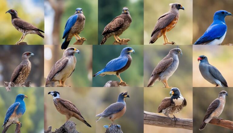 Top 15 Types Of Birds In California (With Pictures) - Fly Aviary