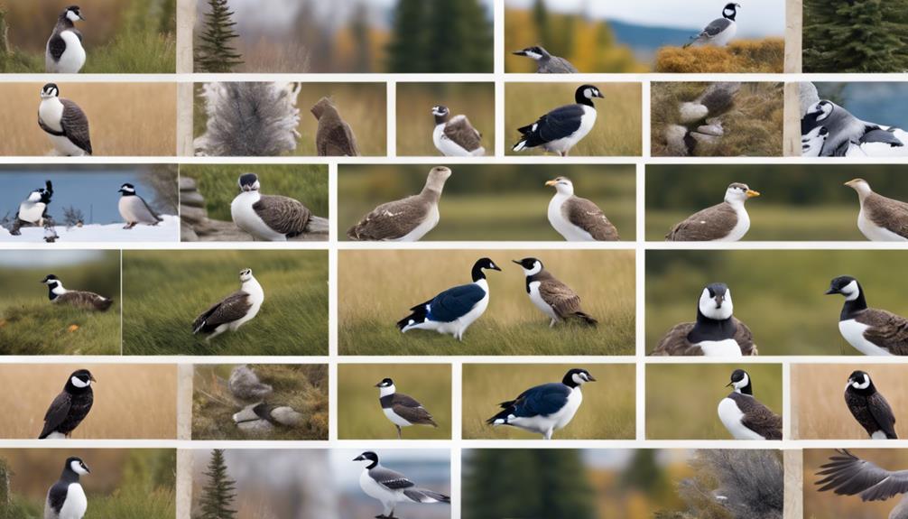 Top 15 Types Of Birds In Canada (With Pictures) - Fly Aviary