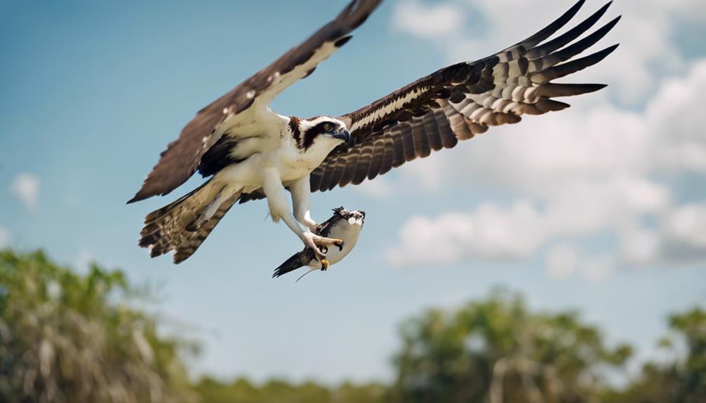 Top 15 Types Of Birds In South Florida (With Pictures) - Fly Aviary