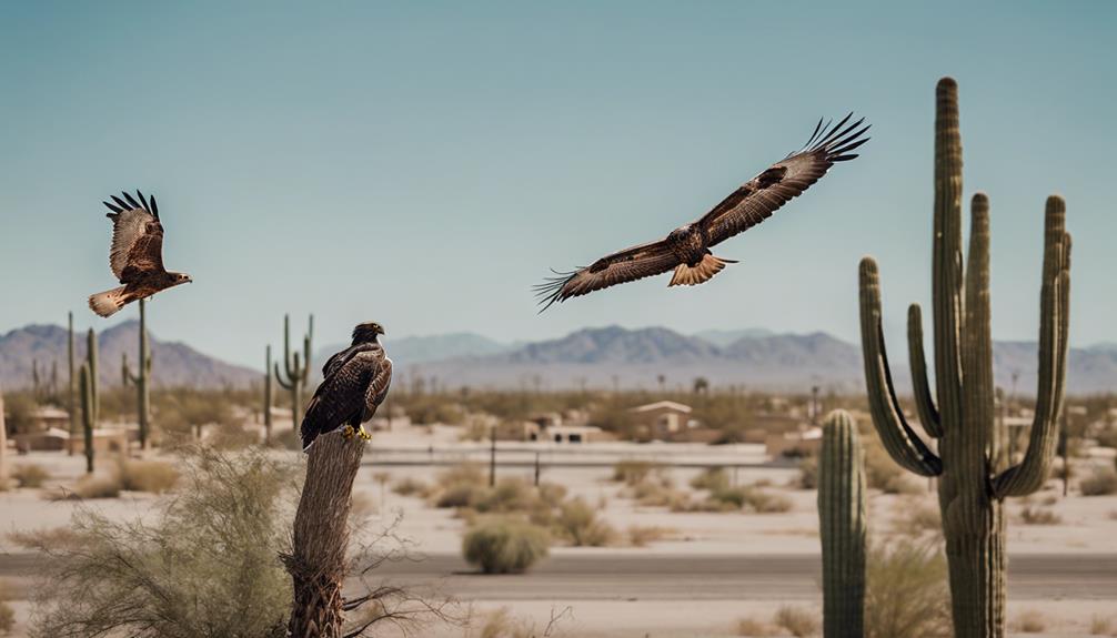 Top 15 Types Of Birds In Yuma Az (With Pictures) - Fly Aviary