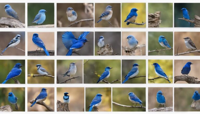 Top 15 Types Of Blue Birds In Michigan (With Pictures) - Fly Aviary