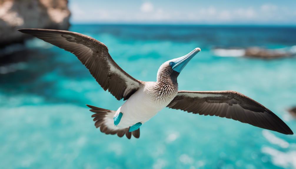 Top 15 Types Of Sea Birds (With Pictures) - Fly Aviary