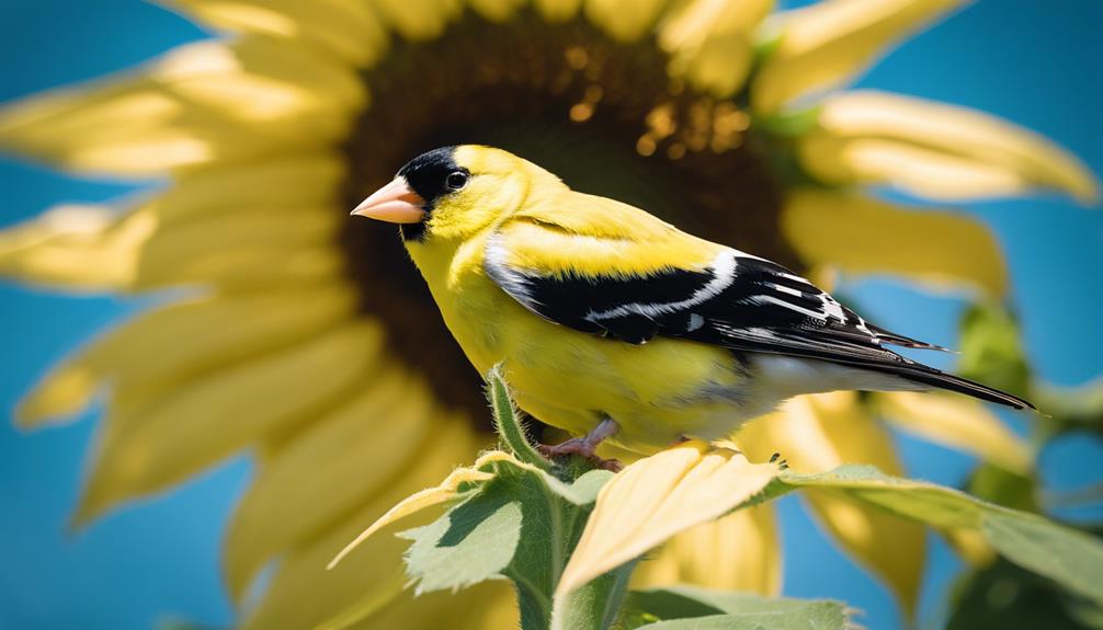 Top 15 Types Of Birds In Kentucky (With Pictures) - Fly Aviary