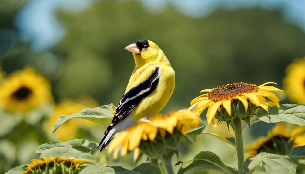 Top 15 Types Of Birds In Manitoba (With Pictures) - Fly Aviary