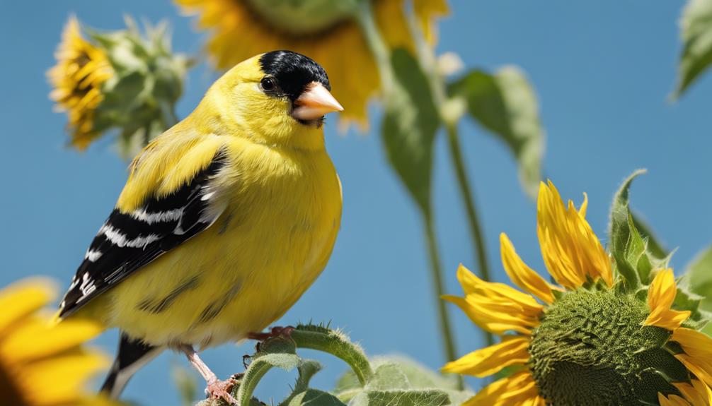 Top 15 Types Of Birds In Oklahoma (With Pictures) - Fly Aviary