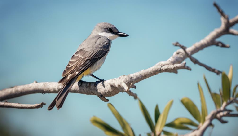 Top 15 Types Of Native Birds That Live In Florida (With Pictures) - Fly ...