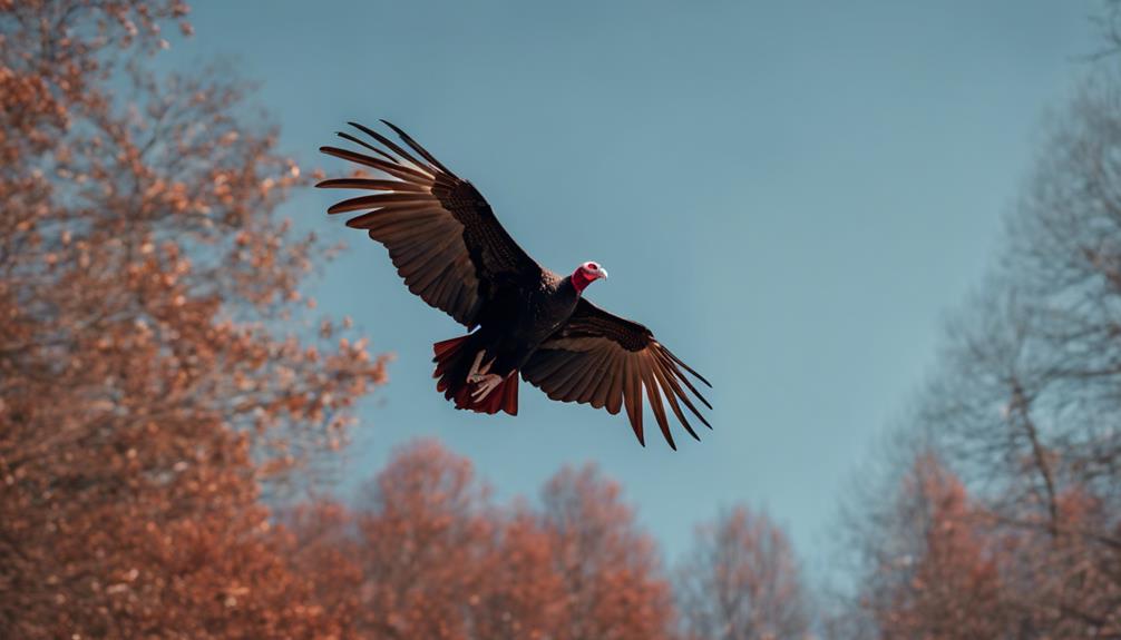 Top 15 Types Of Black Birds In Georgia (With Pictures) - Fly Aviary