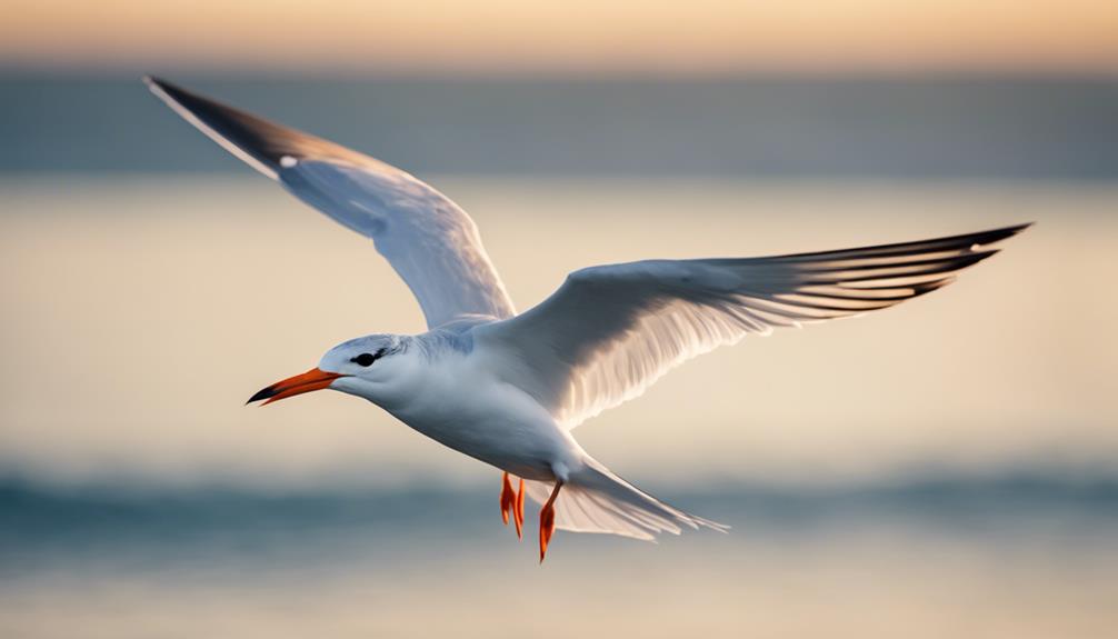 Top 15 Types Of Small White Birds (With Pictures) - Fly Aviary