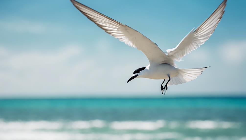 Top 15 Types Of Birds In Fiji (With Pictures) - Fly Aviary