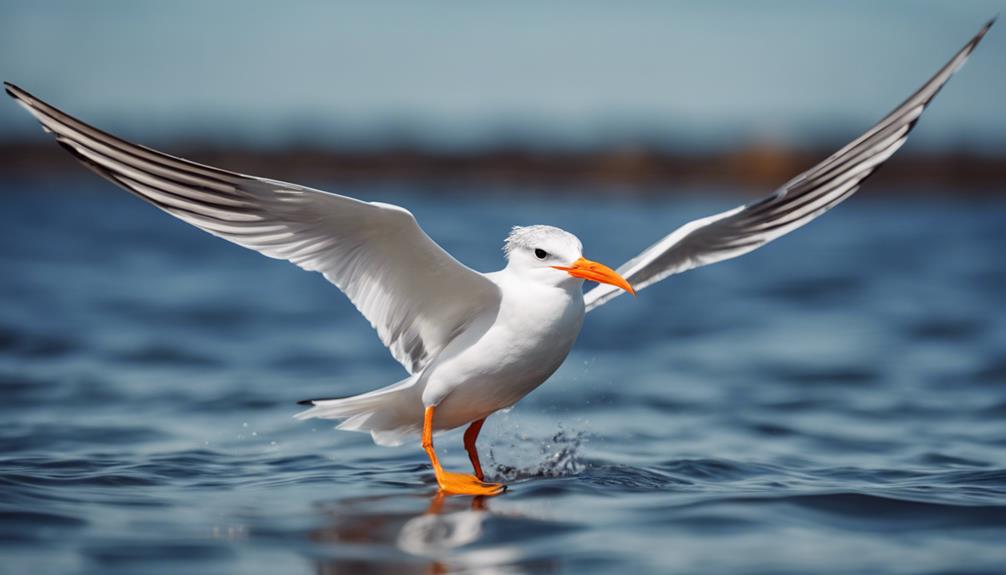 Top 15 Types Of Marsh Birds (With Pictures) - Fly Aviary