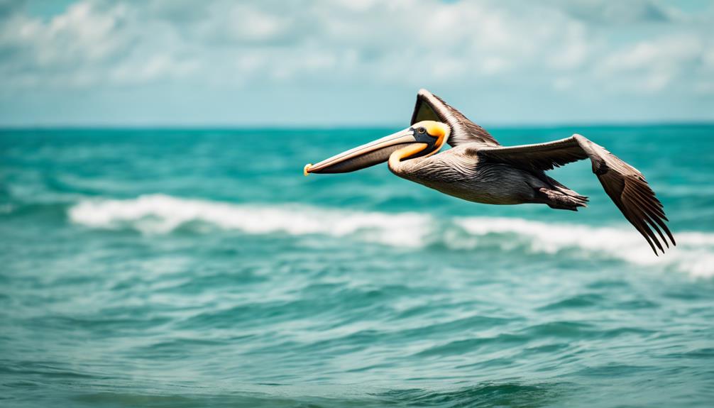 Top 15 Types Of Birds In Costa Rica (With Pictures) - Fly Aviary