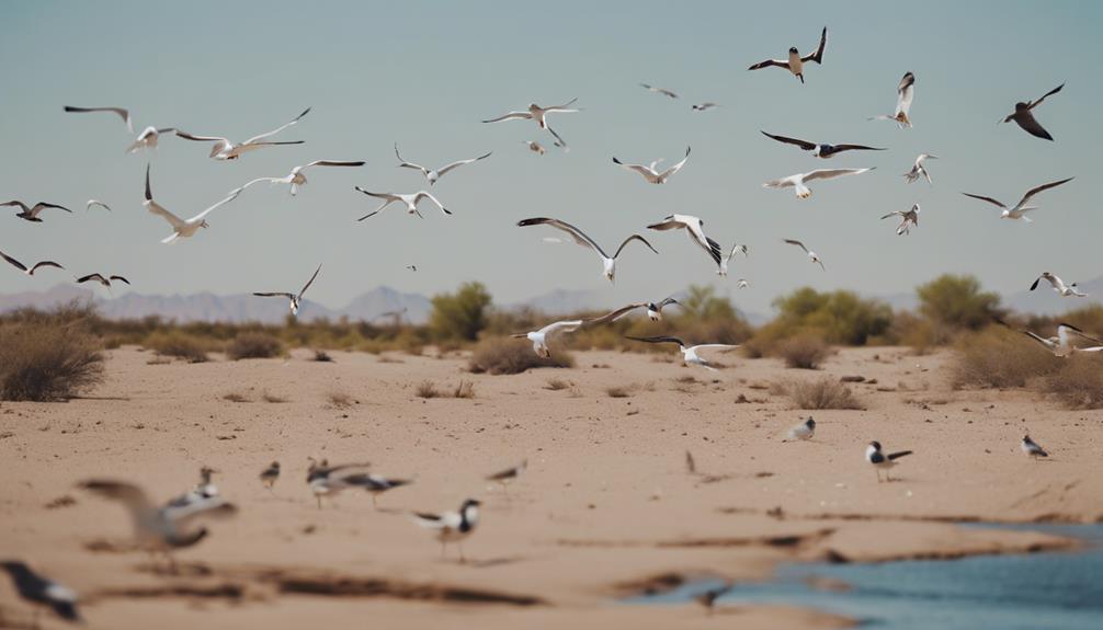 Top 15 Types Of Birds In Yuma Az (With Pictures) - Fly Aviary