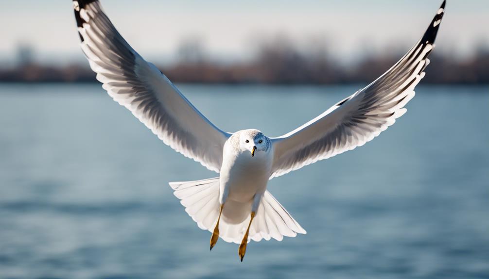 Top 15 Types Of Birds In Rochester Ny (With Pictures) - Fly Aviary