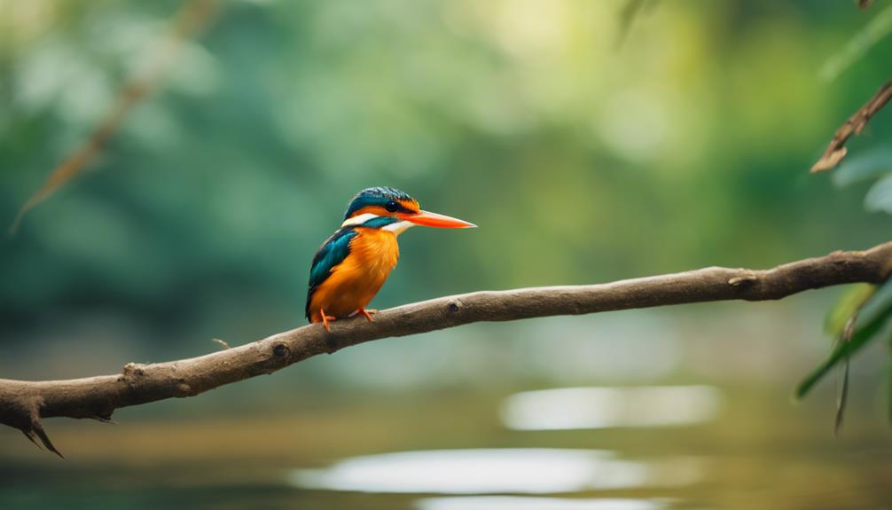 Top 15 Types Of Fisher Birds (With Pictures) - Fly Aviary