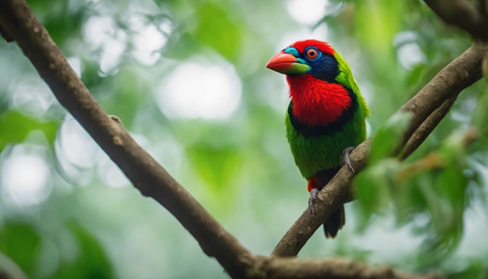 Top 15 Types Of Birds In Rwanda (With Pictures) - Fly Aviary