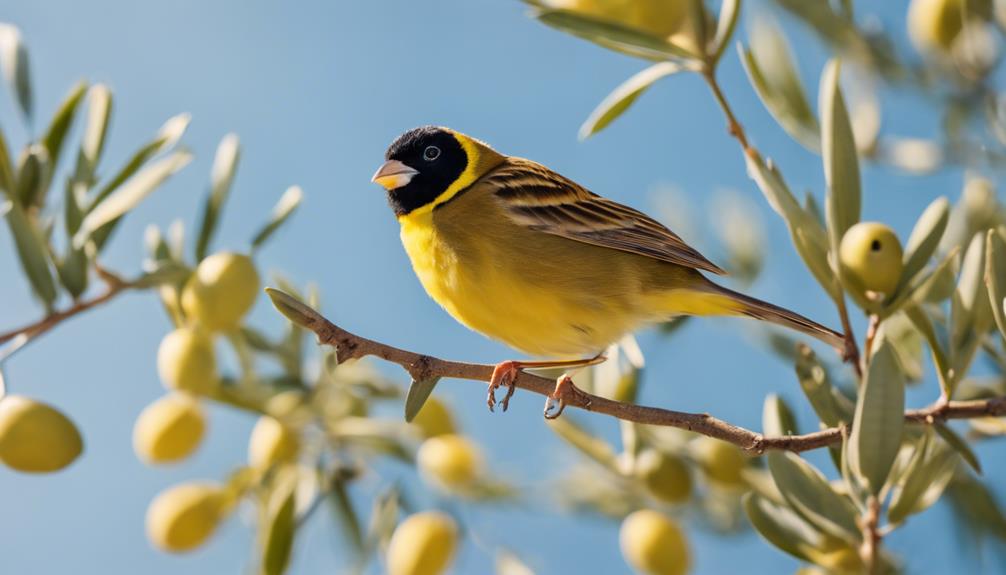 Top 15 Types Of Birds In Greece (With Pictures) - Fly Aviary