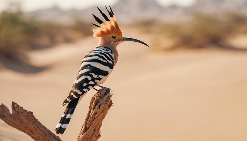 Top 15 Types Of Birds In Dubai (With Pictures) - Fly Aviary