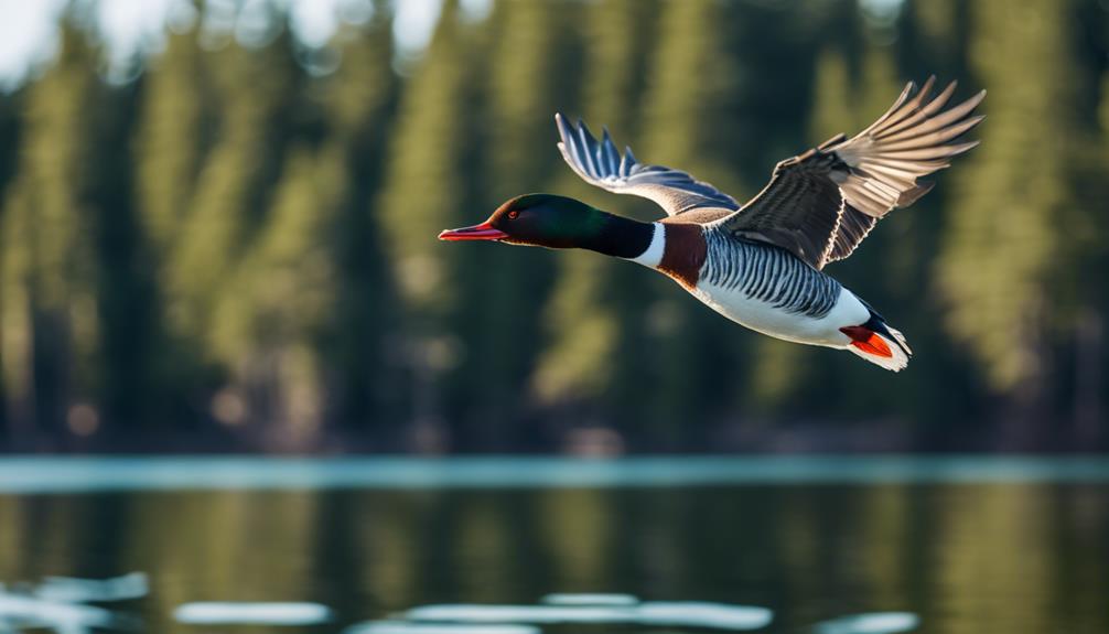 Top 15 Types Of Birds In Northern Ontario (With Pictures) - Fly Aviary