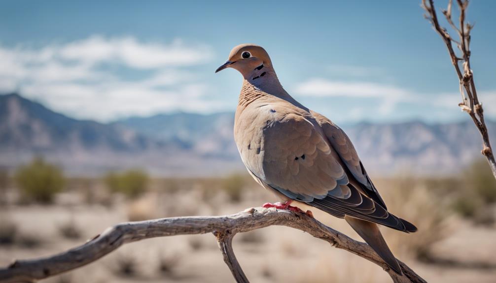Top 15 Types Of Birds In Utah (With Pictures) - Fly Aviary
