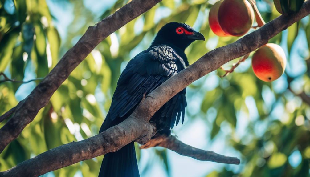 Top 15 Types Of Birds In Pakistan (With Pictures) - Fly Aviary