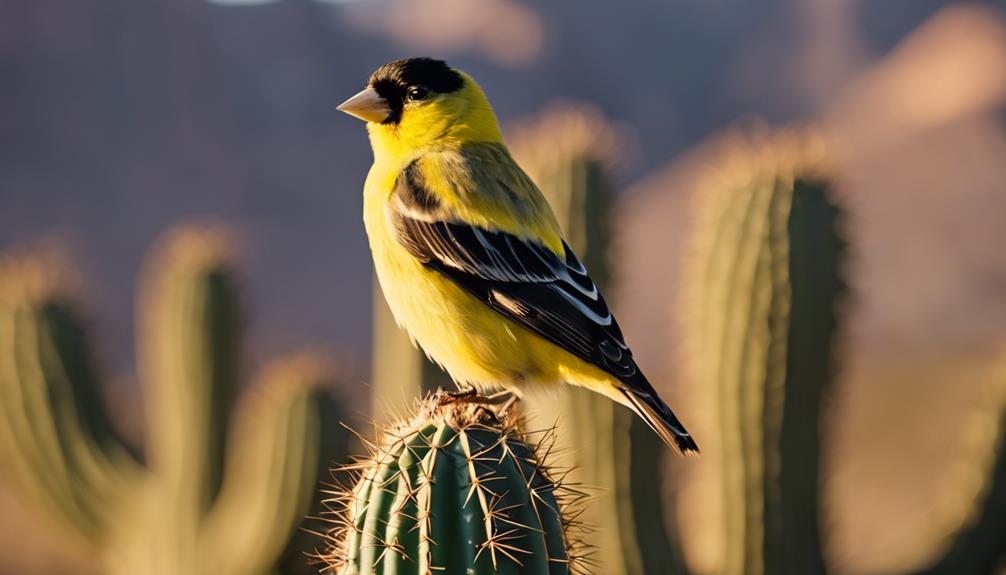 Top 15 Types Of Birds In Phoenix (With Pictures) - Fly Aviary