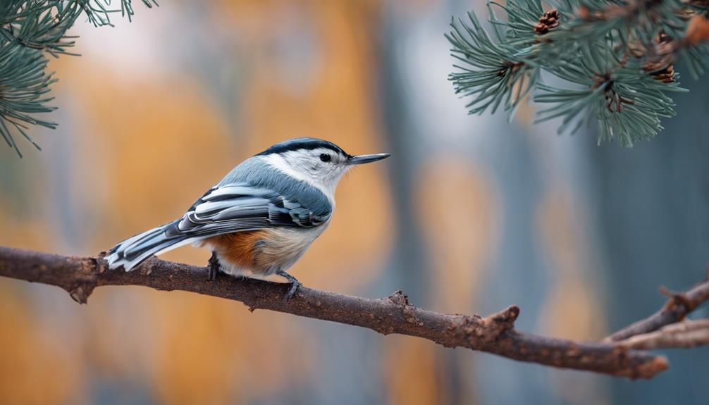 Top 15 Types Of Birds In Saskatchewan (With Pictures) - Fly Aviary
